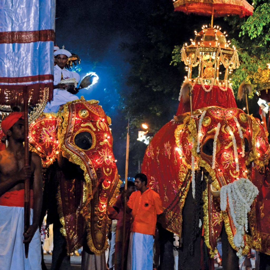 Kandula, the great tusker - Kelaniya Raja Maha Viharaya