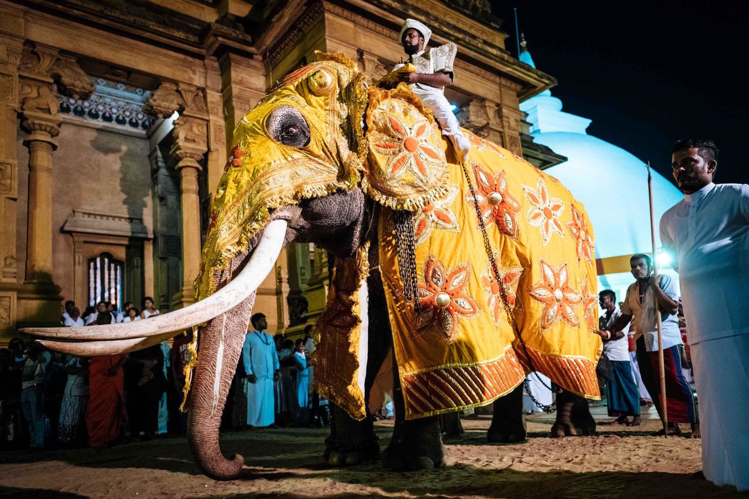 Mr. Don Walter Wijewardene, the Pioneer of the Duruthu Perahera ...